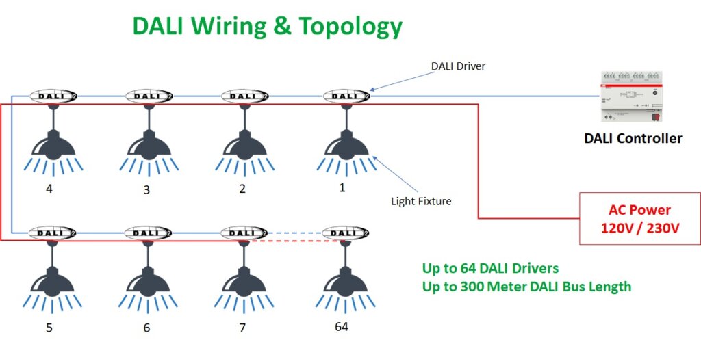 DALI Wiring & Topology – IEC 62386 Installation Guide